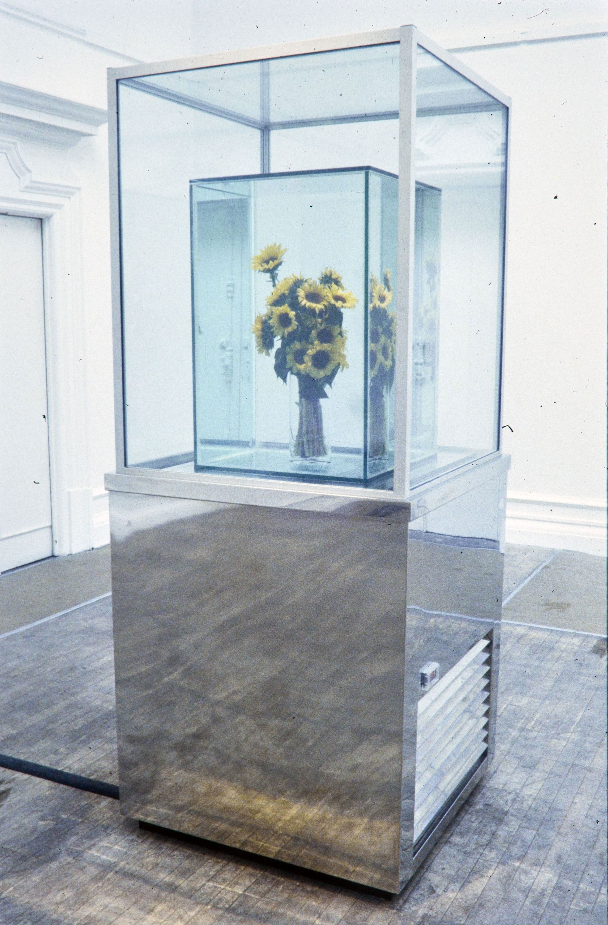 Marc Quinn: Solo Exhibition - South London Gallery