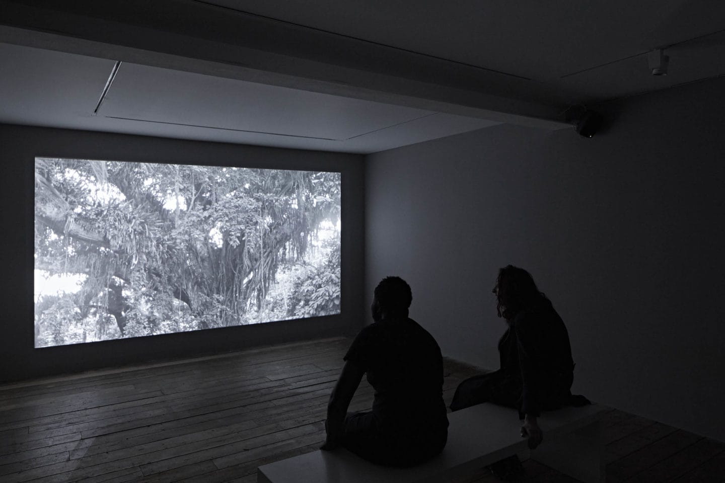 The Show is Over - South London Gallery